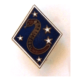 2nd USMC (Guad Snake) w/2 clutches - Military Patches & Pins